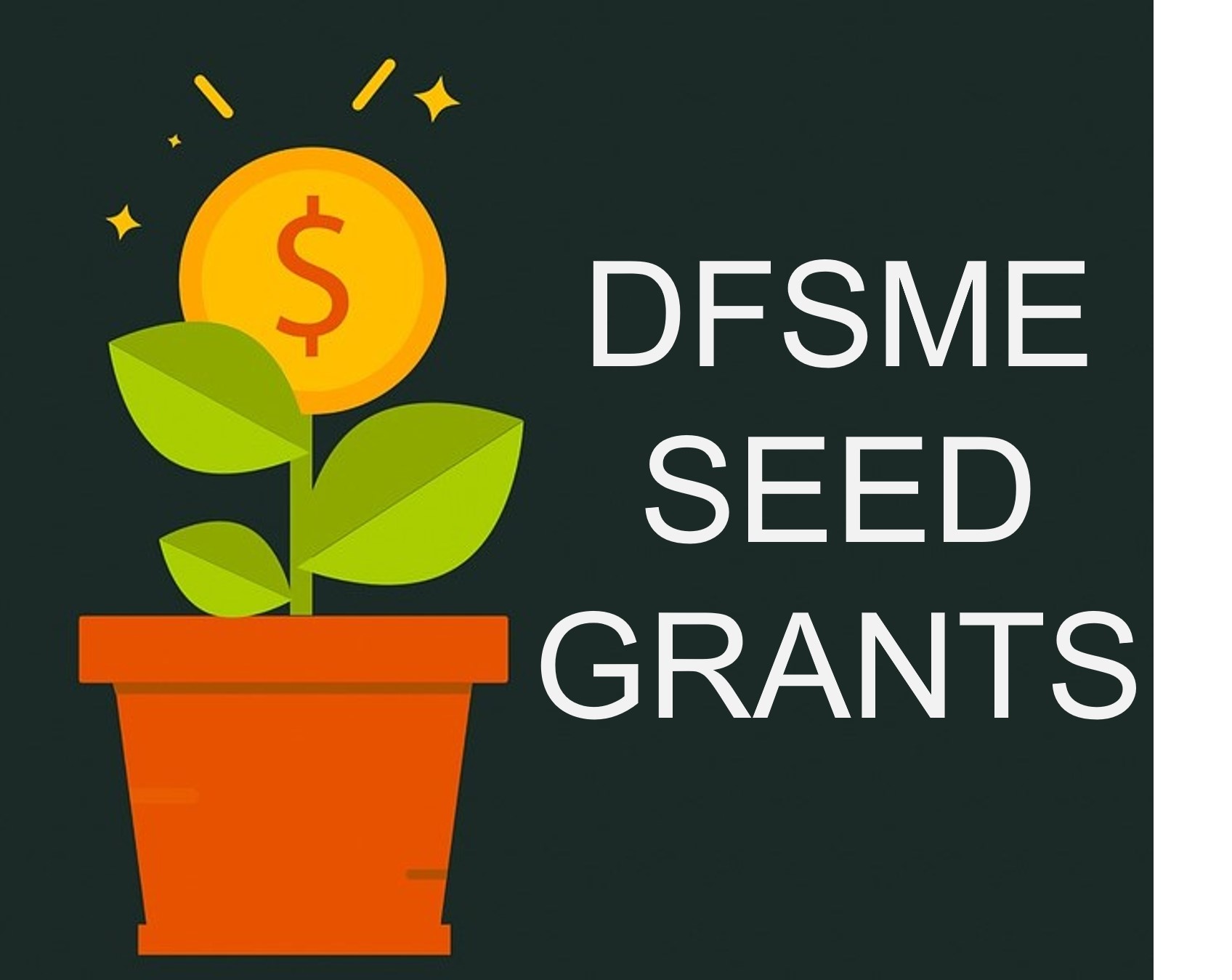 Seed Grants DFSME